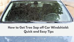 How to Get Tree Sap off Car Windshield: Quick and Easy Tips - Car Care ...